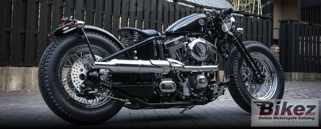 Road Hopper Type5 Evo poster